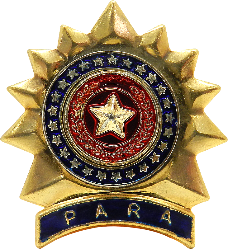 DISTINTIVO DE BOINA - SGT POLÍCIA MILITAR PA - Miguel Hernandez