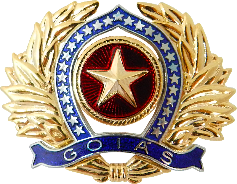 DISTINTIVO DE BOINA - OFICIAL POLÍCIA MILITAR GO - Miguel Hernandez