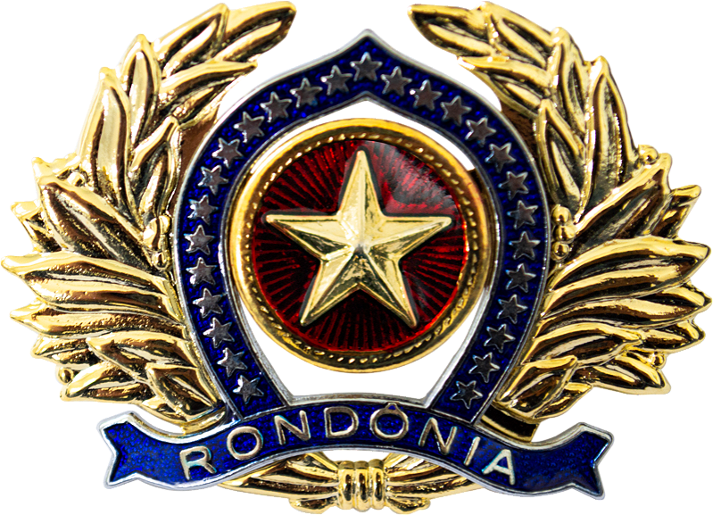 DISTINTIVO DE BOINA - OFICIAL POLÍCIA MILITAR RO - Miguel Hernandez