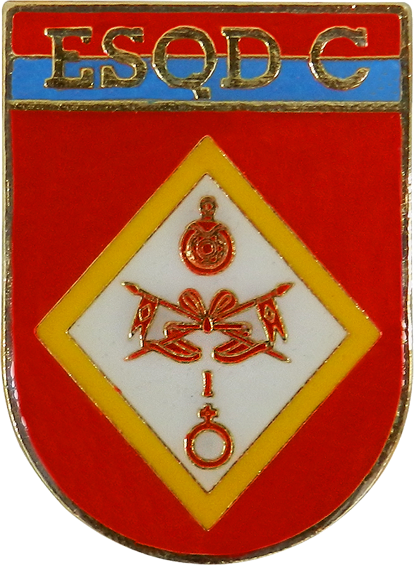 DISTINTIVO DE BOLSO - EB ESQD C - Miguel Hernandez