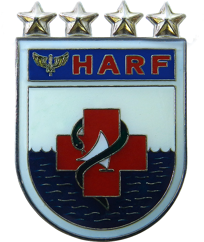 DISTINTIVO DE BOLSO - FAB HARF 4 ESTRELAS - Miguel Hernandez