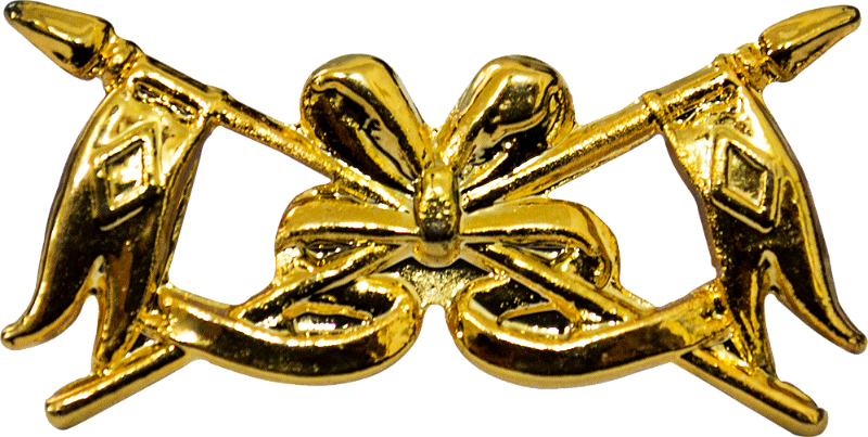 DISTINTIVO DE GOLA - CAVALARIA - Miguel Hernandez