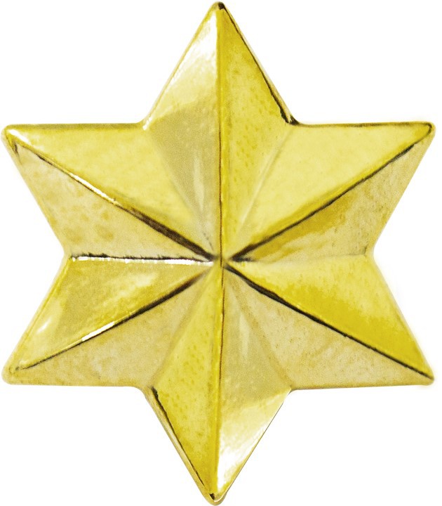 ESTRELA - ESTRELA 6 PONTAS 16mm - Miguel Hernandez