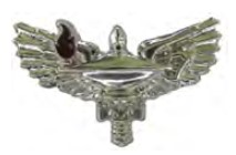 DISTINTIVO DE GOLA - CAP - Miguel Hernandez