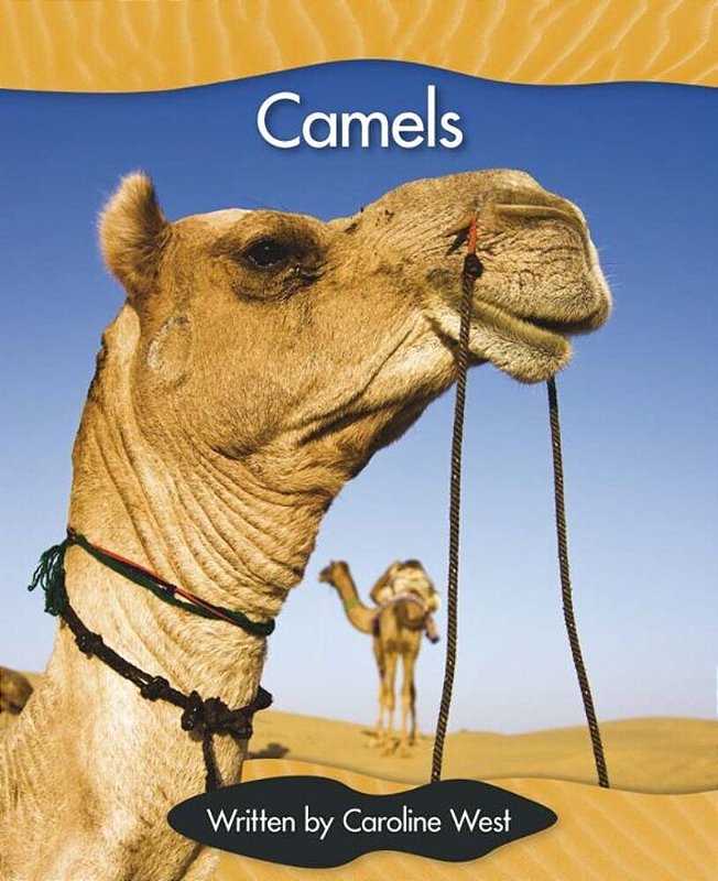 Camels - Springboard Into Comprehension - Livraria Internacional SBS