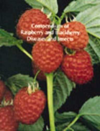 Compendium Of Raspberry And Blackberry Diseases And Insects - SBS