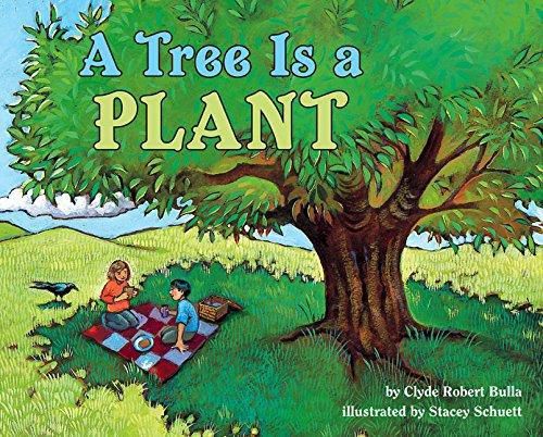 A Tree Is A Plant - Let's Read And Find Out Science - Level 1 ...