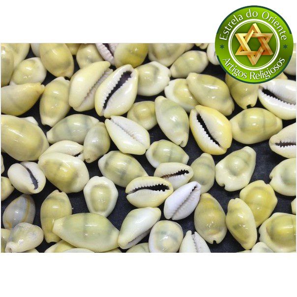 Búzio Buzios Gema Fechado - Loja Estrela do Oriente