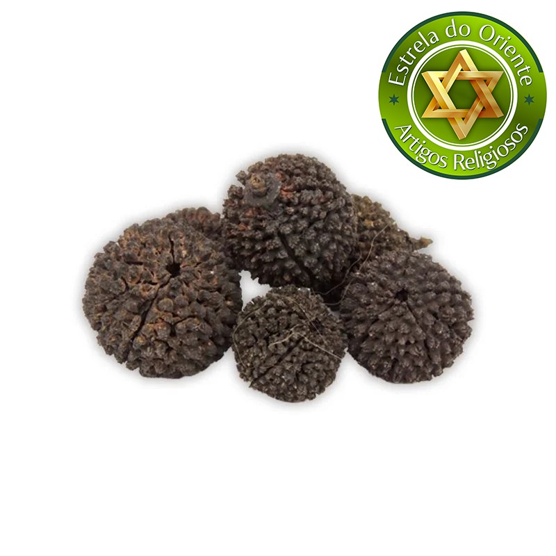 Fava de Ossain Ossanhe Ossanha Ossãe - Loja Estrela do Oriente