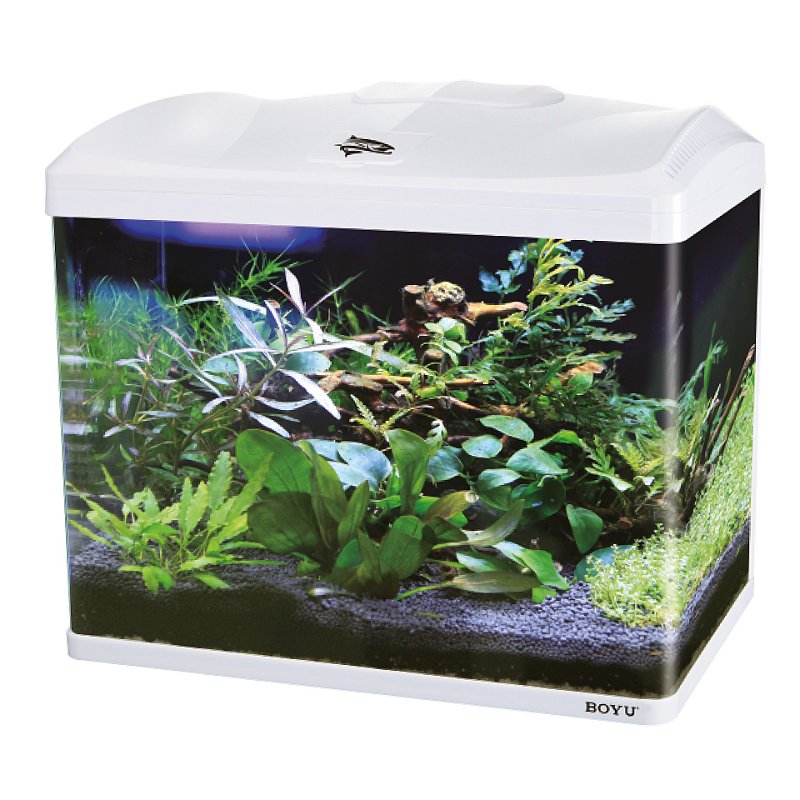 AQUARIO CURVO BOYU EC-600 66L BRANCO 220V - Garagem do Aquarismo
