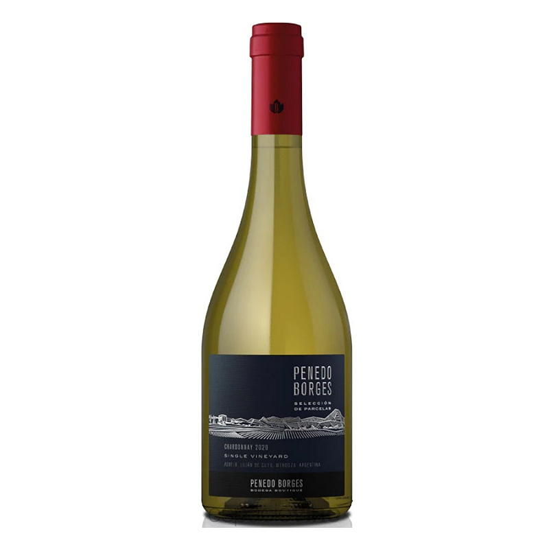 Vinho Penedo Borges Seleccion Parcelas Chardonnay 750ml - Língua Roxa Wines