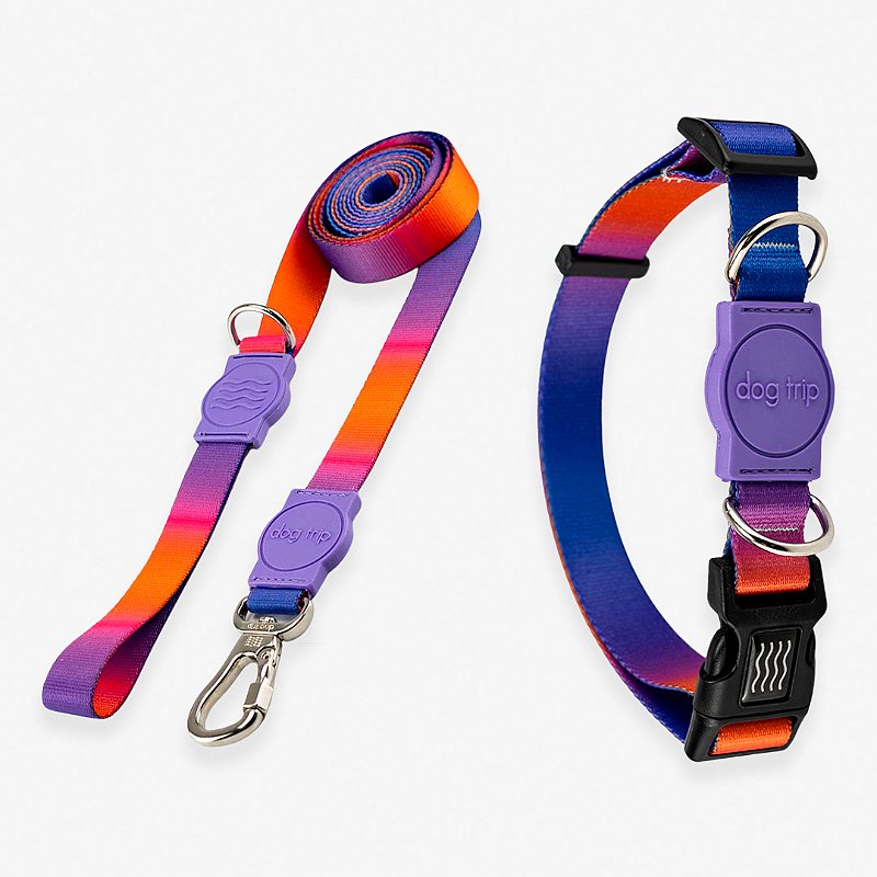 Kit Guia 2 Metros + Coleira Padang - Dog Trip Brasil