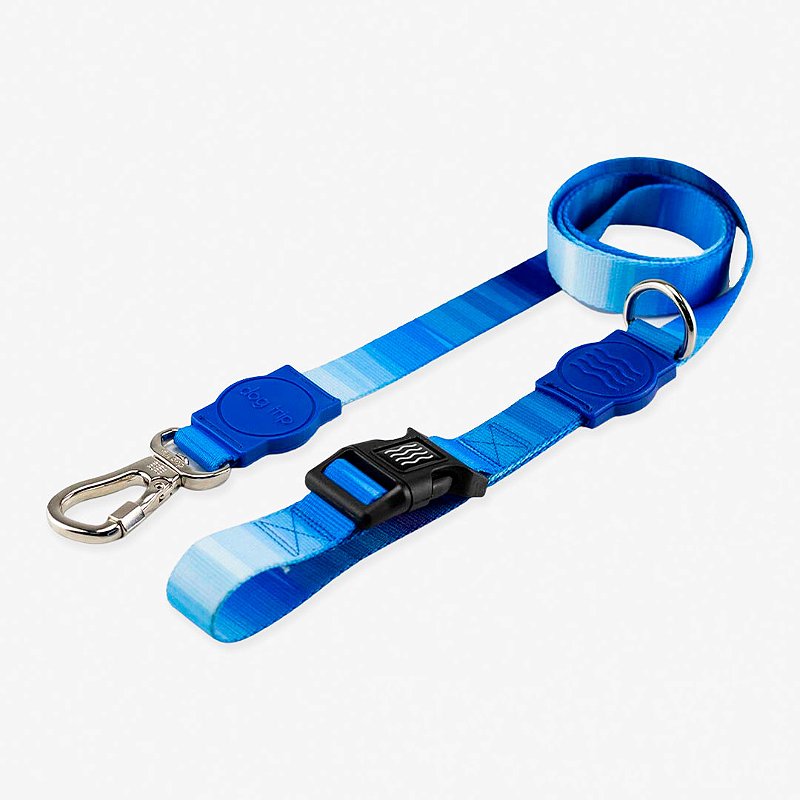 Guia para cachorros Hold On Maldives - Dog Trip Brasil