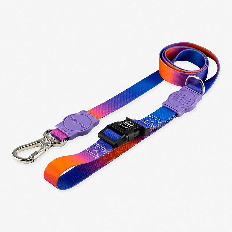 Guia para cachorros Hold On Padang - Dog Trip Brasil