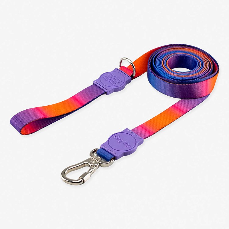 Guia para cachorros Longa 5 Metros Padang - Dog Trip Brasil