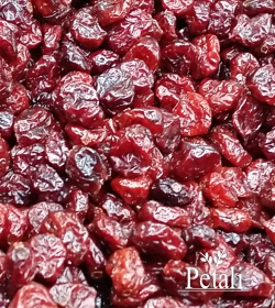 CRANBERRY SECO - Empório Petali