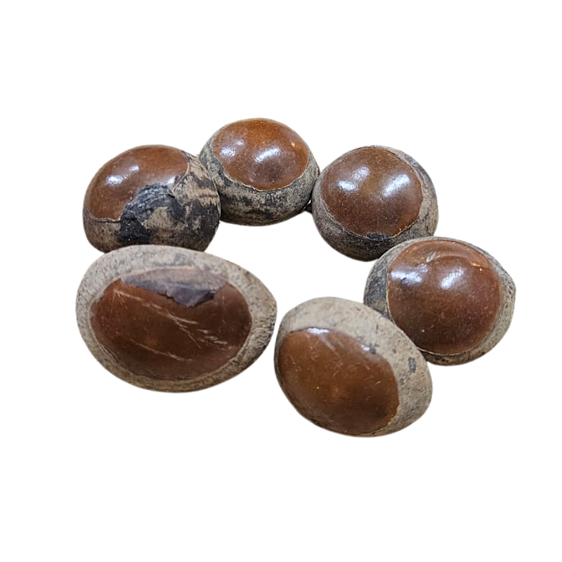 Fava Logun Ede - Umbanda E Candomblé - Sarava Shop