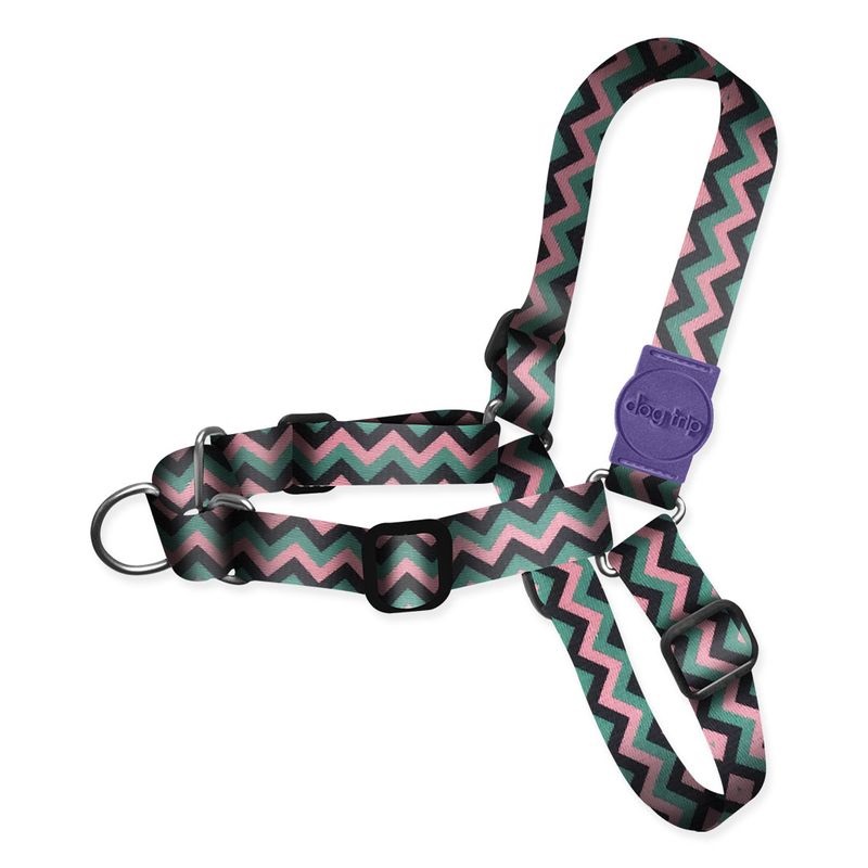 Kit Guia Premium + Peitoral Antipuxao Poipu Dog Trip Brasil - Boutique ...