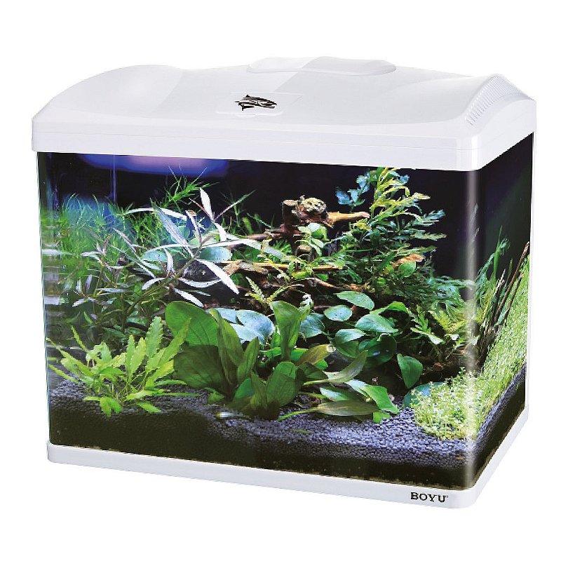 AQUARIO CURVO BOYU EC-600 66L BRANCO 220V - Nemo & Cia