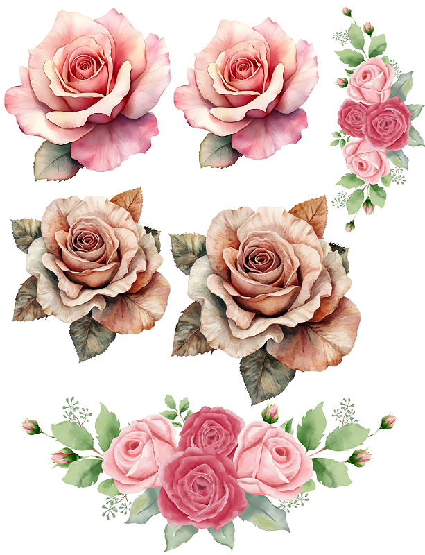 Hidro Transfer - Decalque - Rosas Grandes I - Arte Brentan