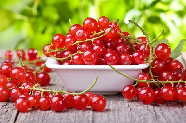 Groselha Congelada 100% Natural | Sabor Doce e Refrescante no RJ - Açaí ...