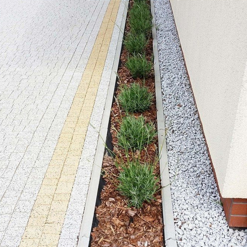 Pedrisco para jardim N01 20kg - Pedra Santos