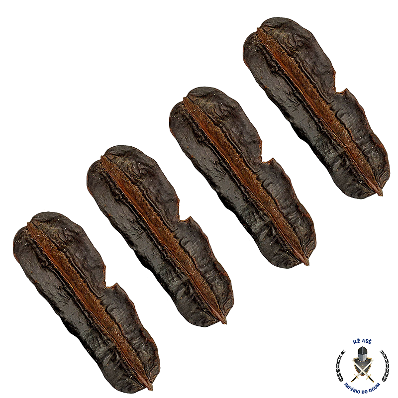 Fava de Aridan - unidade - www.imperiodoogum.com.br