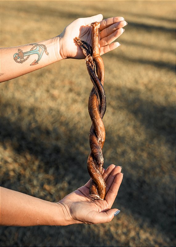 Vergalho bovino inteiro - LUV - Aguará