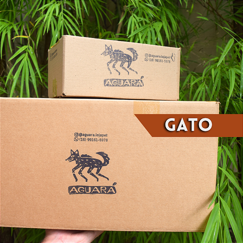 BOX MISTERIOSA (personalizada para o seu pet!) - Gato - Aguará