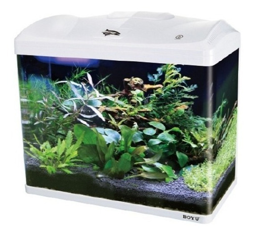 AQUARIO CURVO BOYU EC-600 66L - Pet Hobby