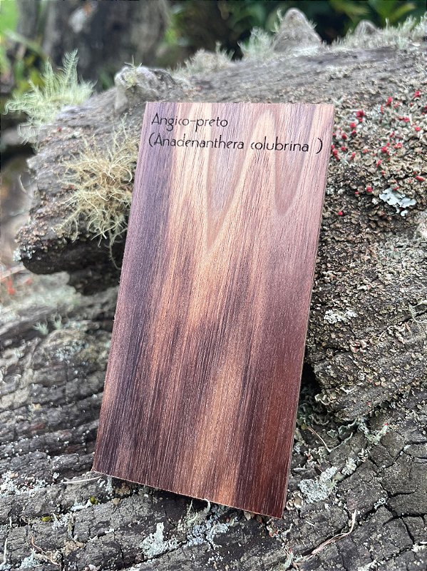 AMOSTRA DE MADEIRA PARA XILOTECA - Angico-preto (Anadenanthera ...