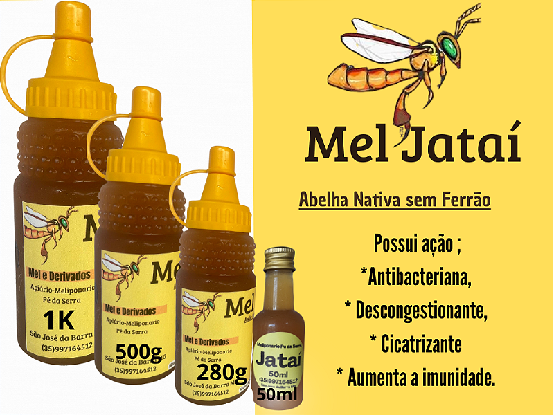 Mel Jataí o mais "medicinal" que existe - Mel-Derivados-docepele