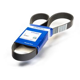 2614E007 - Correia do alternador - ventilador - Perkins - DED Peças