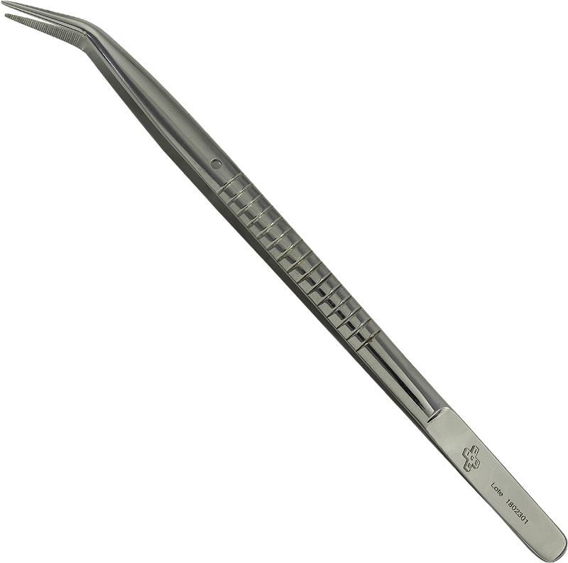 PINCA CLINICA ICE - www.iceesmeralda.com.br