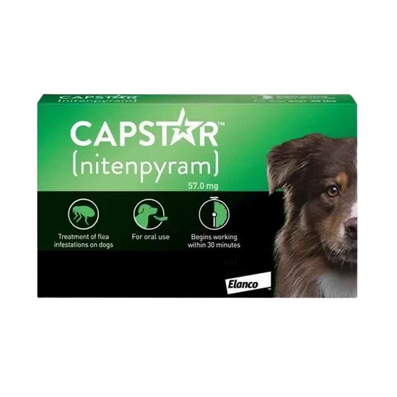 Capstar 57 mg com 06 Comprimidos - Pet Mais