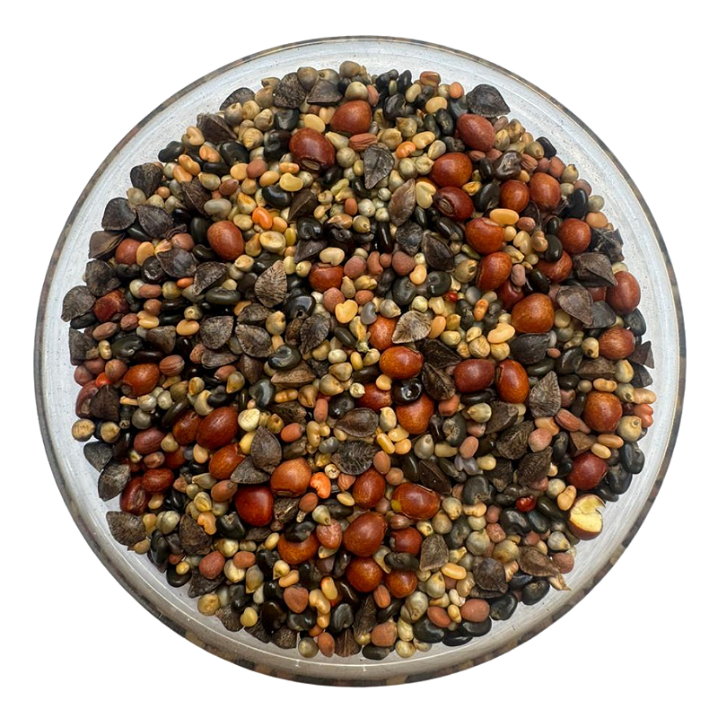 MIX SEMENTE PARA CAFEZAL - AgroJão