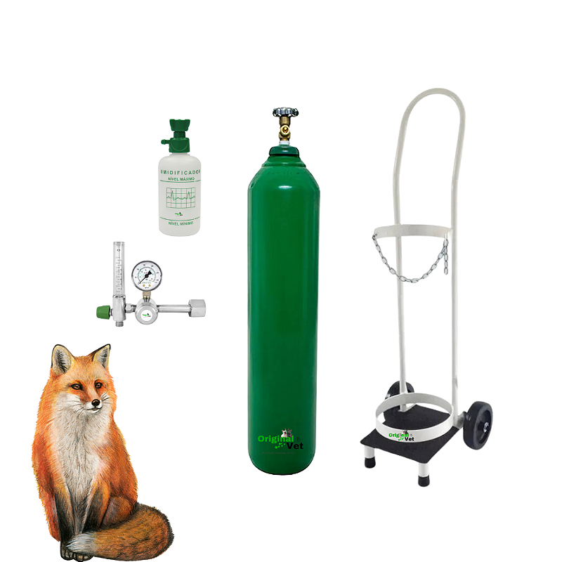 Cilindro de oxigênio 16 litros - Completo - Original Vet - Loja de ...