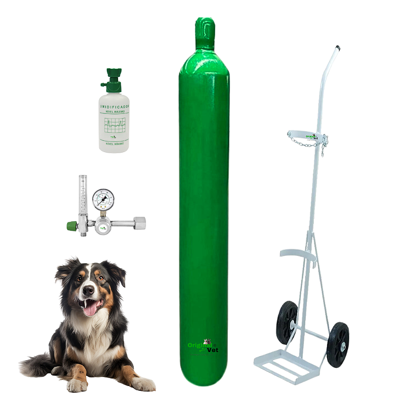 Cilindro de oxigênio 40 litros - Completo - Original Vet - Loja de ...