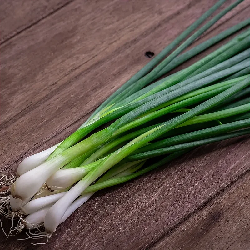 CEBOLINHA (Allium fistulosum) - P15 - Rebrotar Plantas