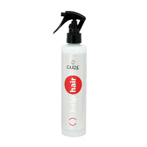 HELP HAIR SPRAY DESEMBARAÇANTE E PROTETOR TÉRMICO 250mL - Gude ...