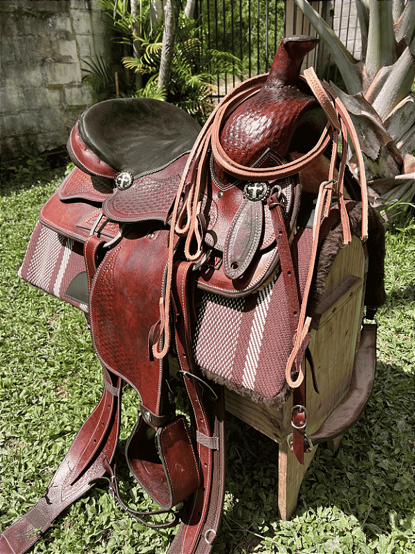 Sela Americana Prova de Laço Strong Profissional + Manta QM Imports ...