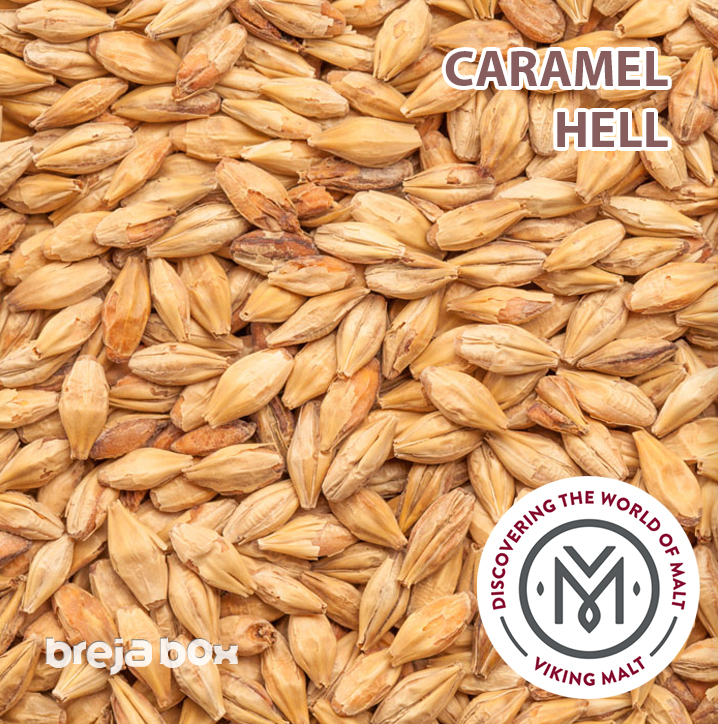 Malte Caramel 30 Viking Malt (CaraHell) | 20 -40 EBC - Breja Box - tudo ...