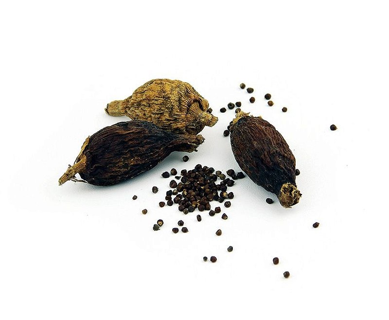 Atare - Mãe África