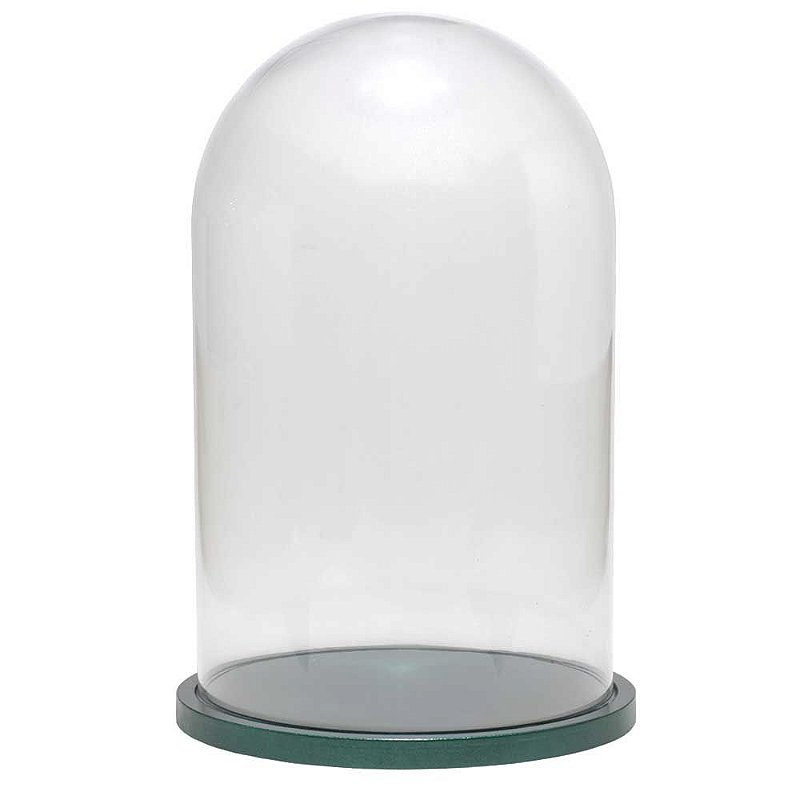 Comprar Redoma de vidro lisa com base de MDF verde metálica - média ...