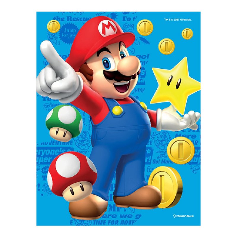 Quadro Metal Slim Mario Coins - Xplace Games | Loja de games, vídeo ...
