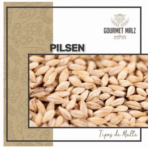 Malte Gourmet Malz Pilsen - 100g - Piquiri Brewshop - Loja De Lúpulos ...
