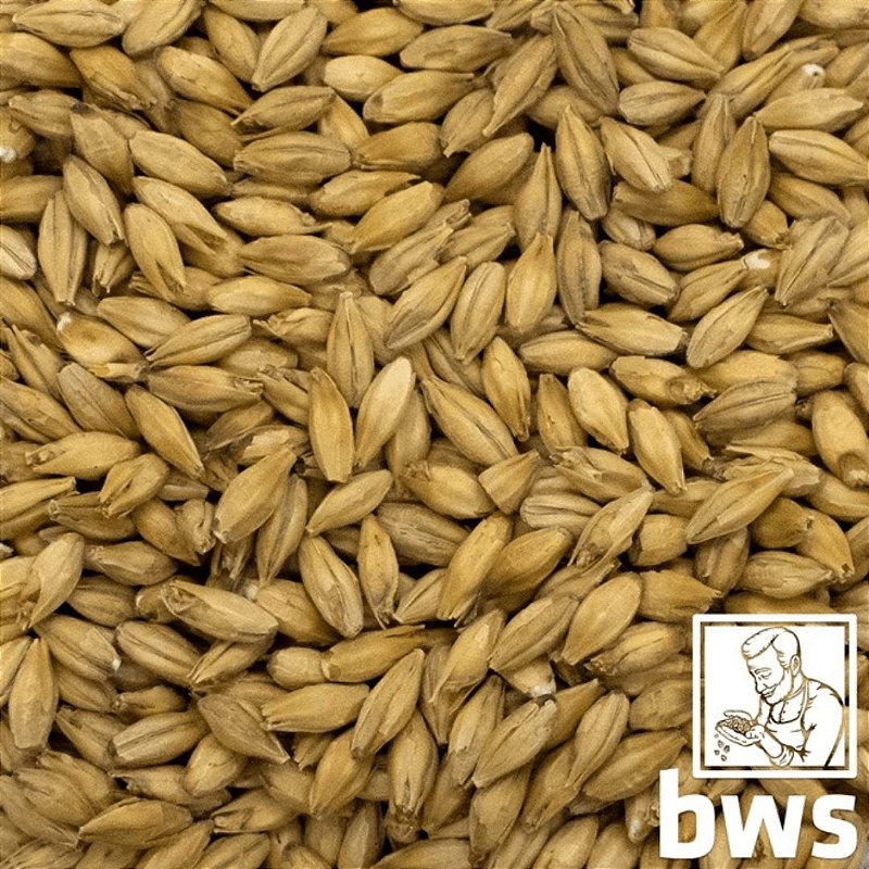 Malte BWS Pilsen (Alemão) - 100g - Piquiri Brewshop - Loja De Lúpulos, Extrato De Malte e Mais ...