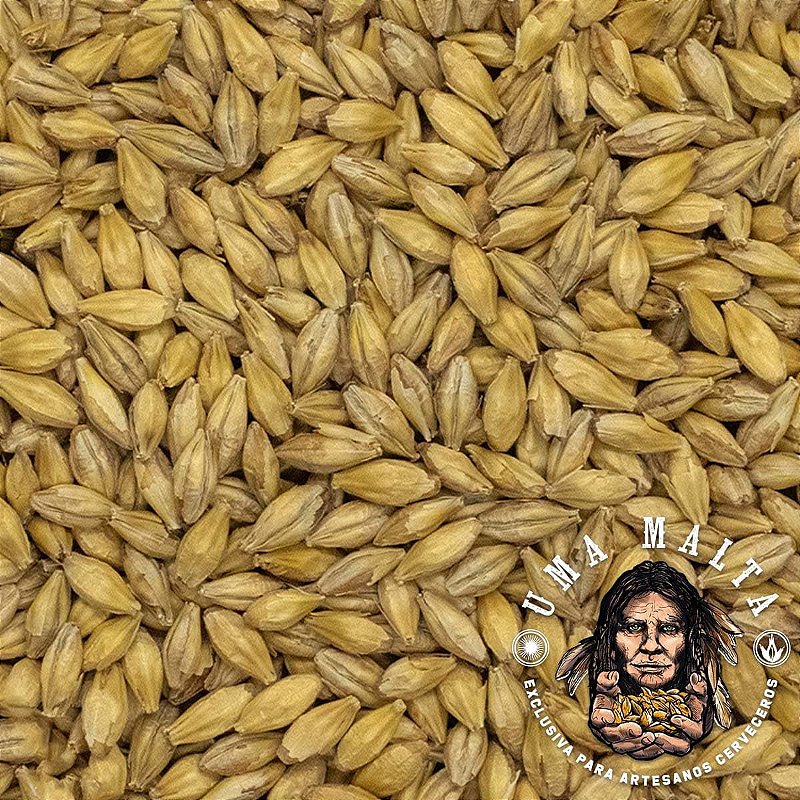 Malte Uma Malta Caradextrina (Balance Esencial) - 1 Kg - Piquiri Brewshop - Loja De Lúpulos ...