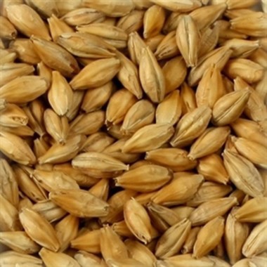 Malte Maltear Viena - 100g - Piquiri Brewshop - Loja De Lúpulos ...