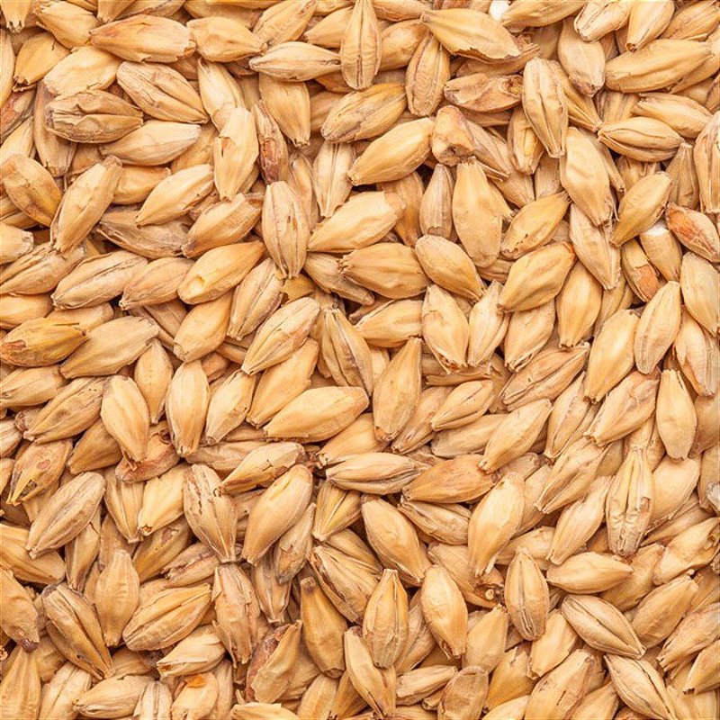 Malte Agraria Pilsen - Saca 25kg - Piquiri Brewshop - Loja De Lúpulos, Extrato De Malte e Mais ...